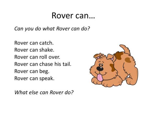 dogs | Jen in the Library